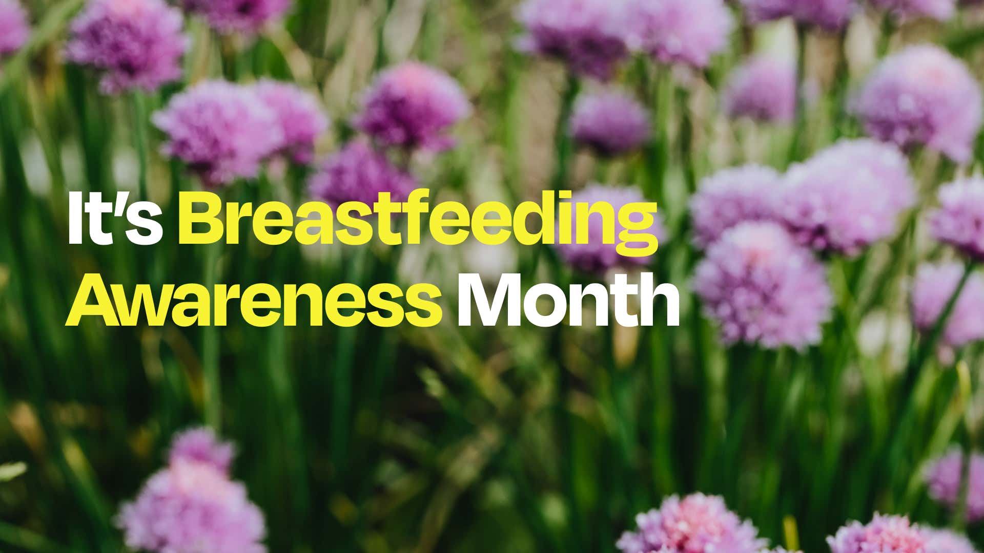 What is Breastfeeding Awareness Month to a Mom in the United States in ...